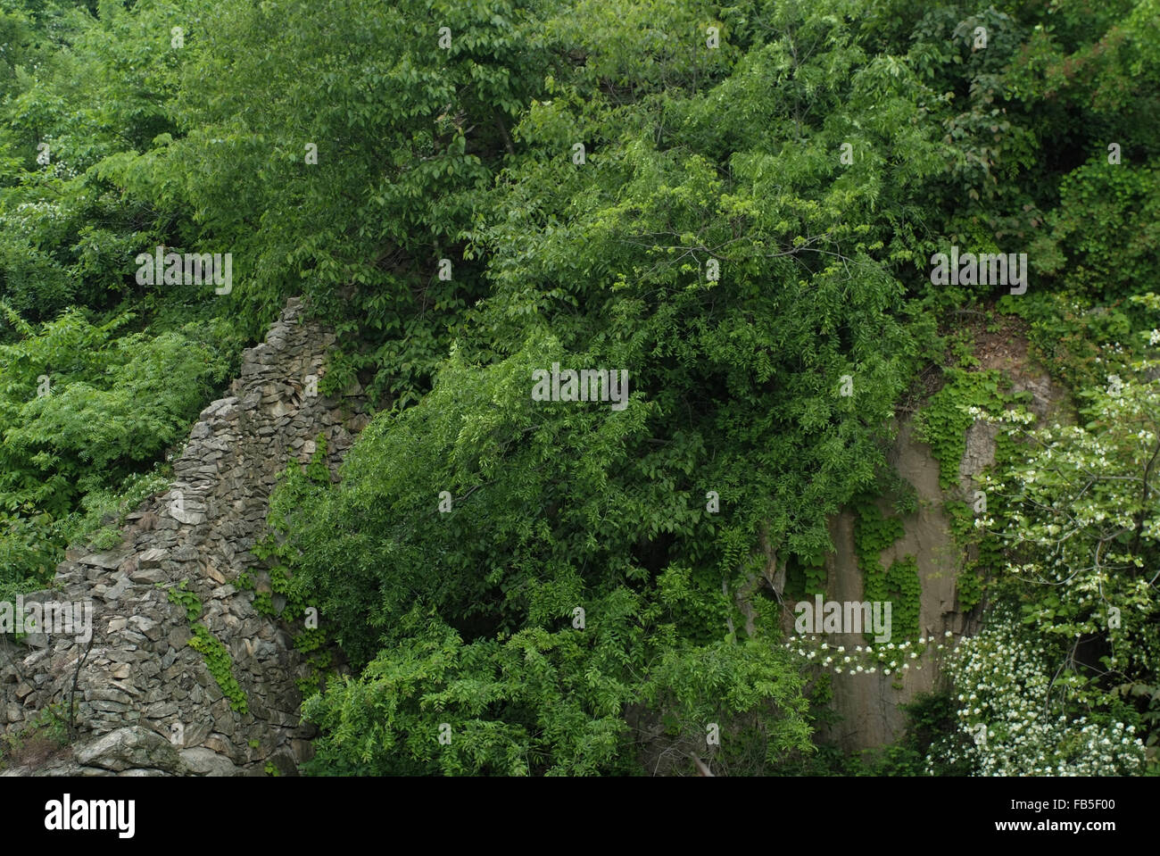 Nanyang City Henan Province China Stock Photo - Alamy