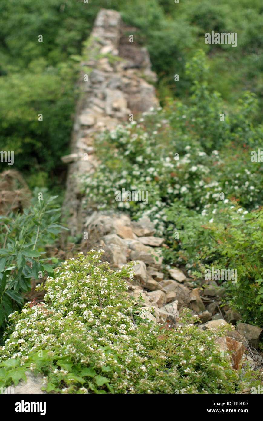 Nanyang City Henan Province China Stock Photo - Alamy