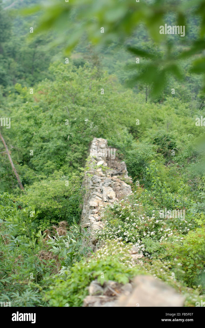 Nanyang City Henan Province China Stock Photo - Alamy