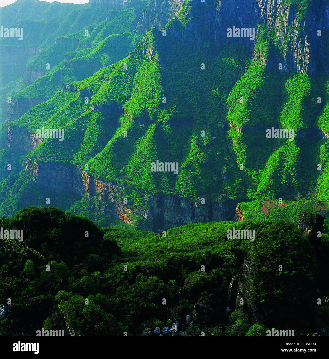 Xinxiang city hi-res stock photography and images - Alamy