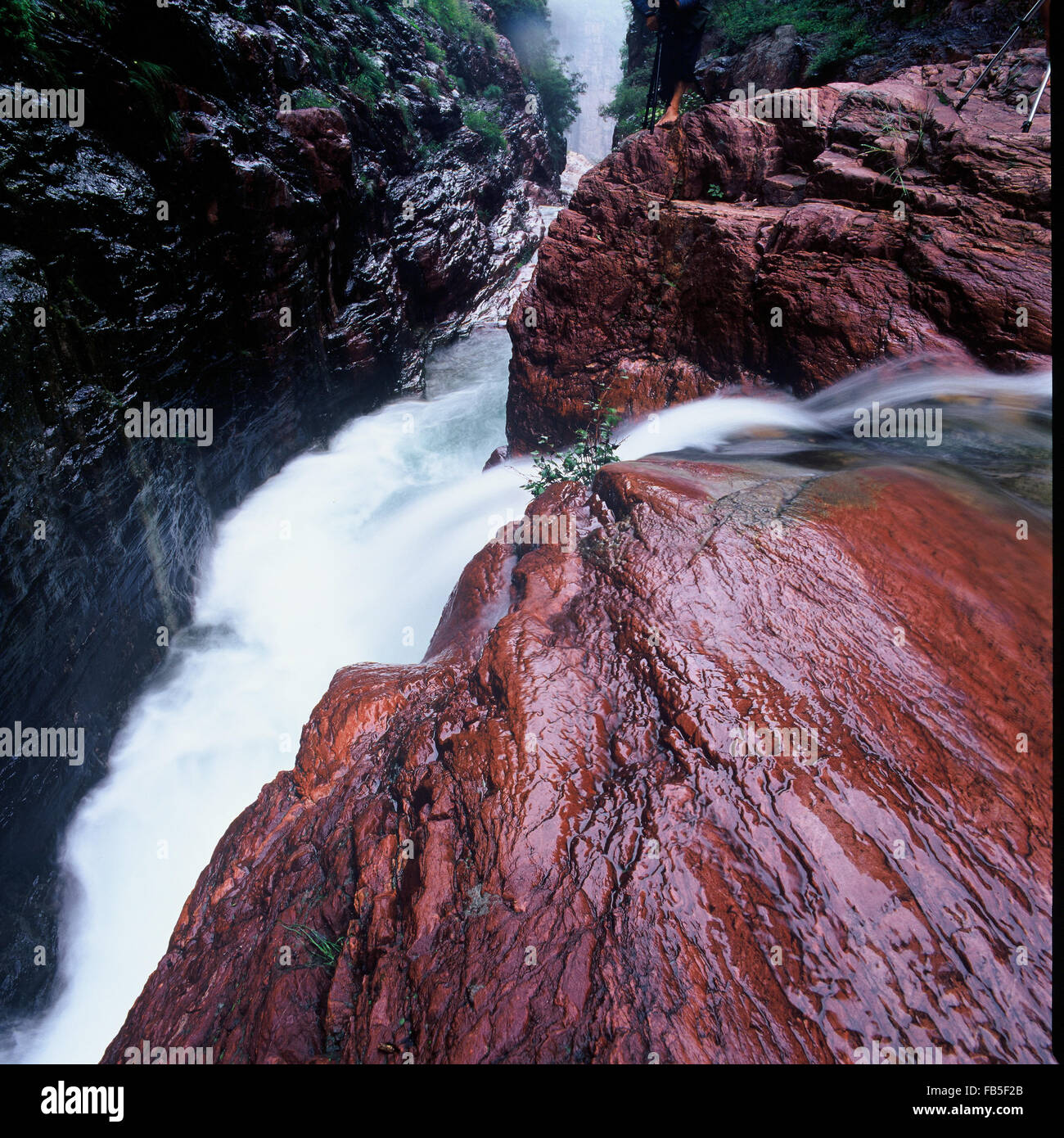 Xinxiang city hi-res stock photography and images - Alamy