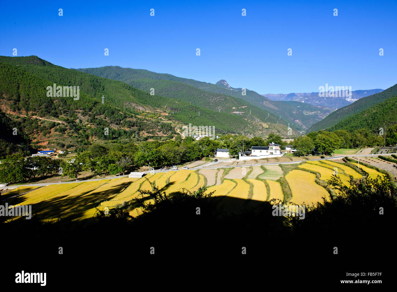 Corn irrigation china hi-res stock photography and images - Alamy
