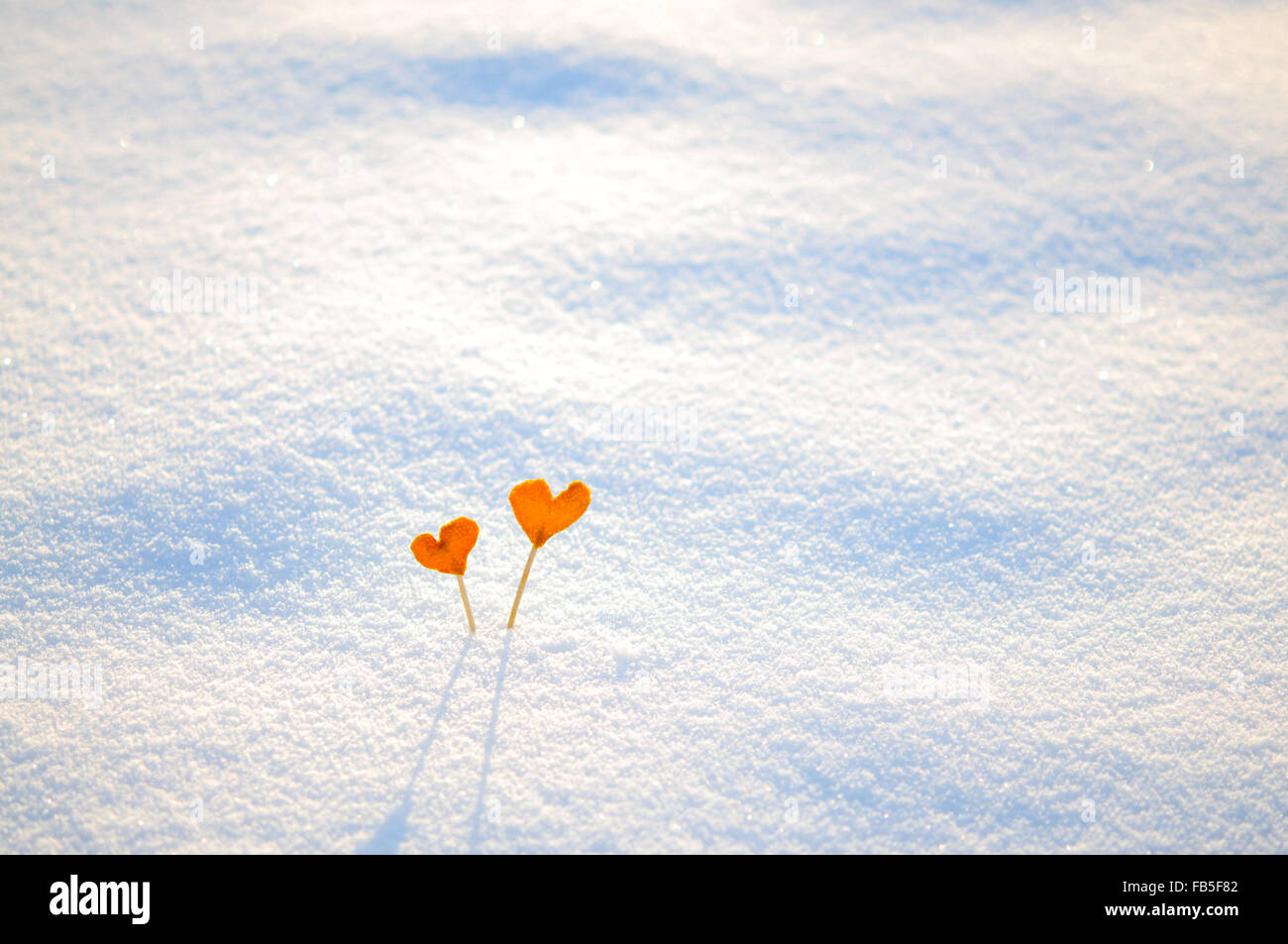 Two vintage orange tangerine hearts on white snow background for love ...