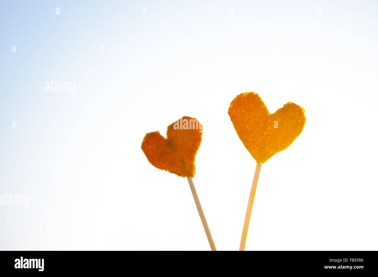 Two vintage orange tangerine hearts on sun lit background for love and ...