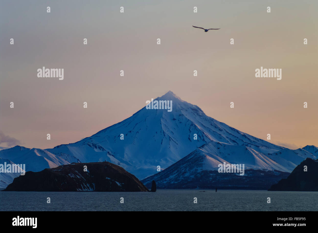 Bering hi-res stock photography and images - Alamy