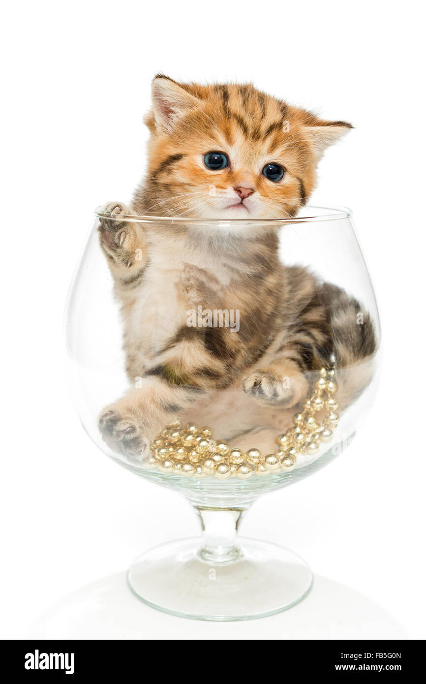 Funny baby in big Cut Out Stock Images & Pictures - Alamy