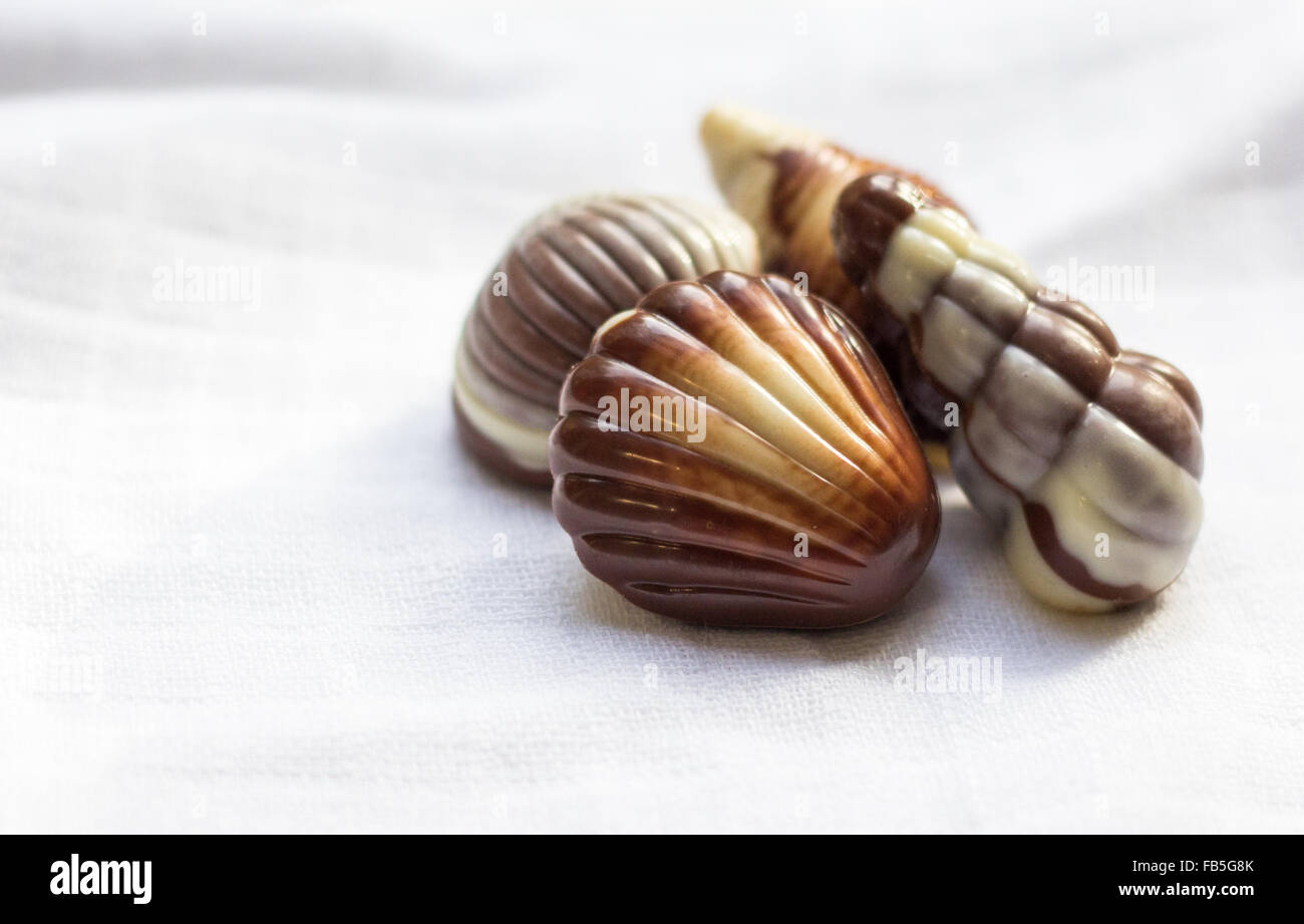 Various assortment of chocolate shells on a white background Stock ...