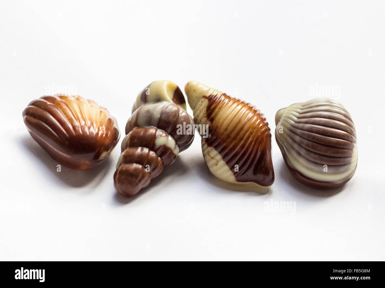 Various assortment of chocolate shells on a white background Stock ...