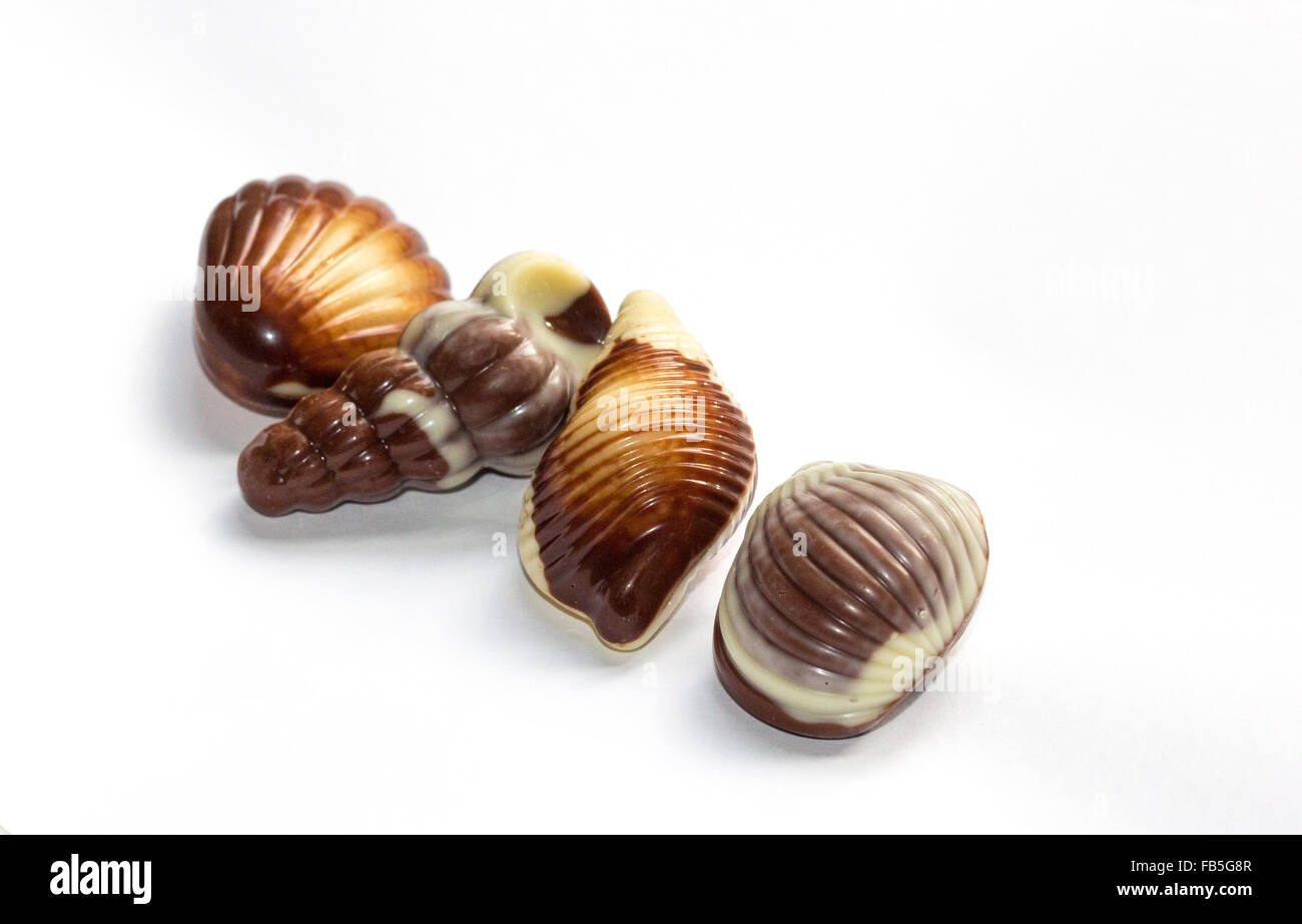Various assortment of chocolate shells on a white background Stock ...