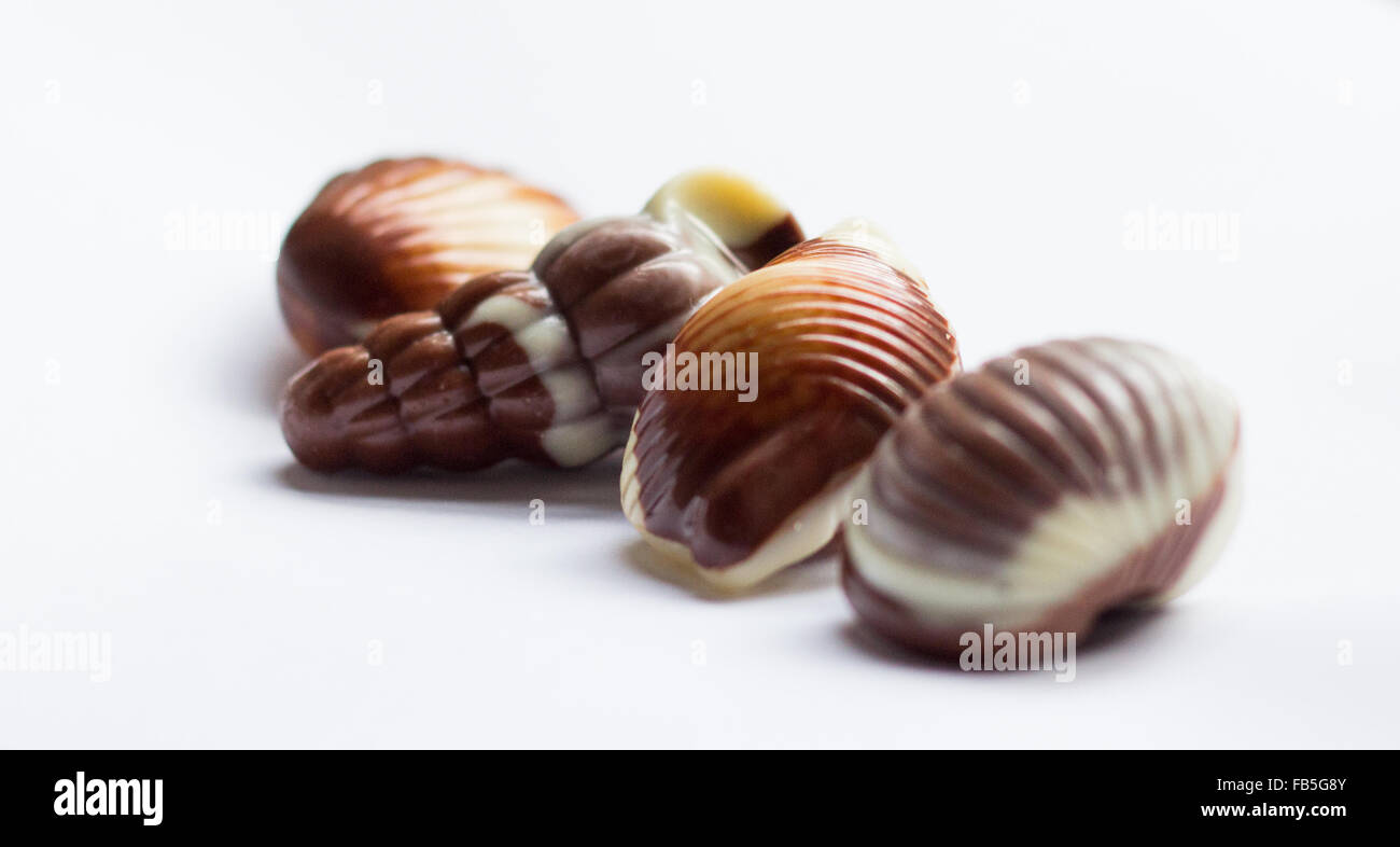 Various assortment of chocolate shells on a white background Stock ...