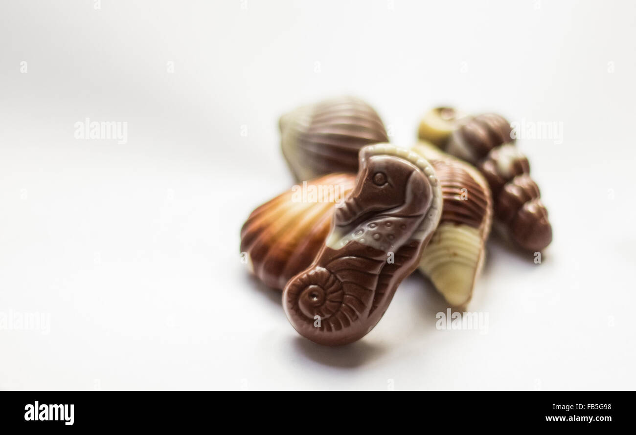 Various assortment of chocolate shells on a white background Stock ...