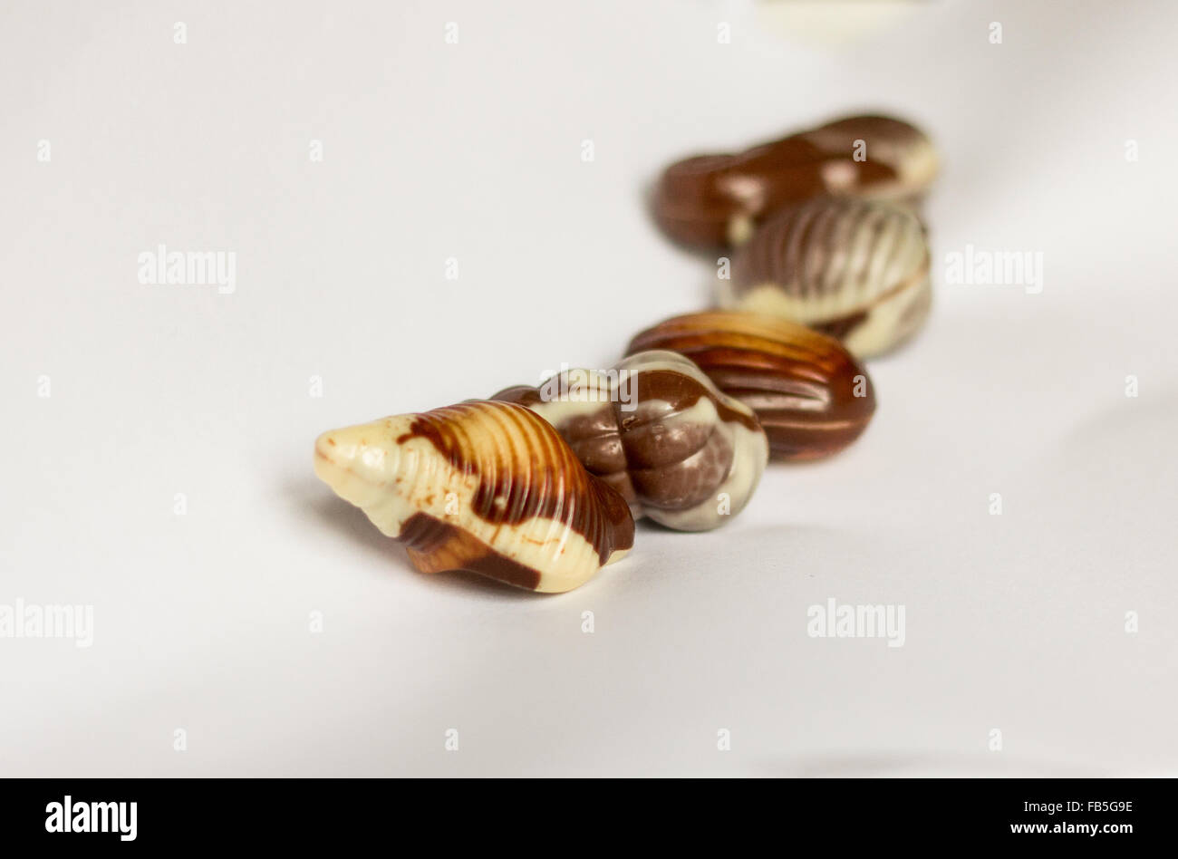 Various assortment of chocolate shells on a white background Stock ...