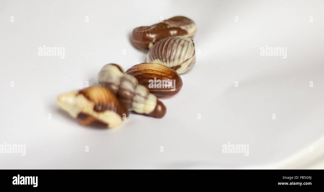 Various assortment of chocolate shells on a white background Stock ...