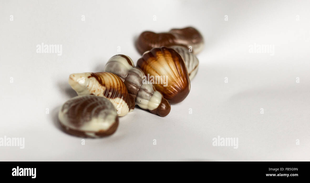 Various assortment of chocolate shells on a white background Stock ...