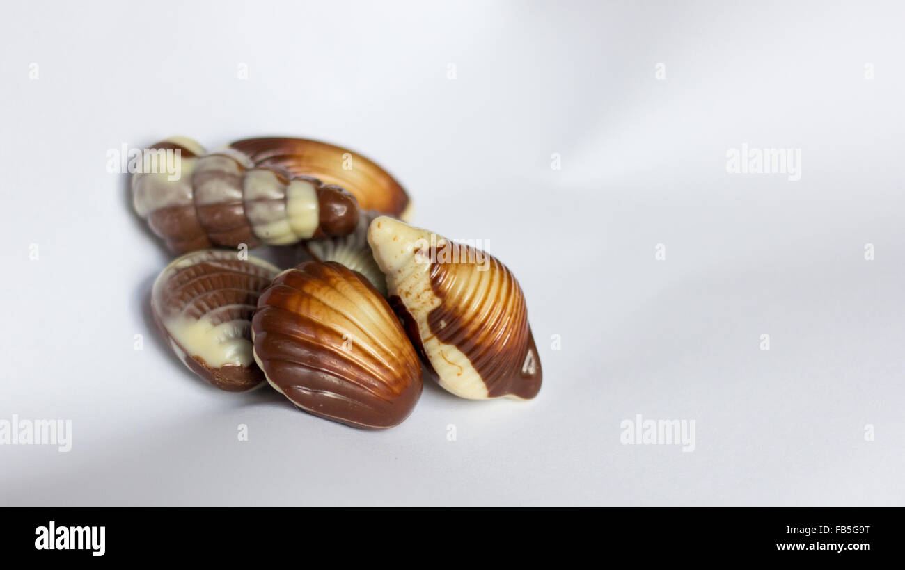 Various assortment of chocolate shells on a white background Stock ...