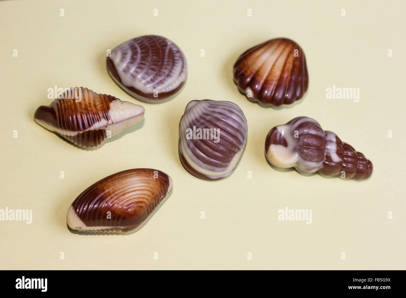 An assortment of Belgian chocolate shells on a yellow/ pale yellow ...