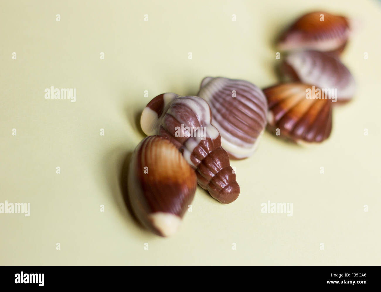 An assortment of Belgian chocolate shells on a yellow/ pale yellow ...
