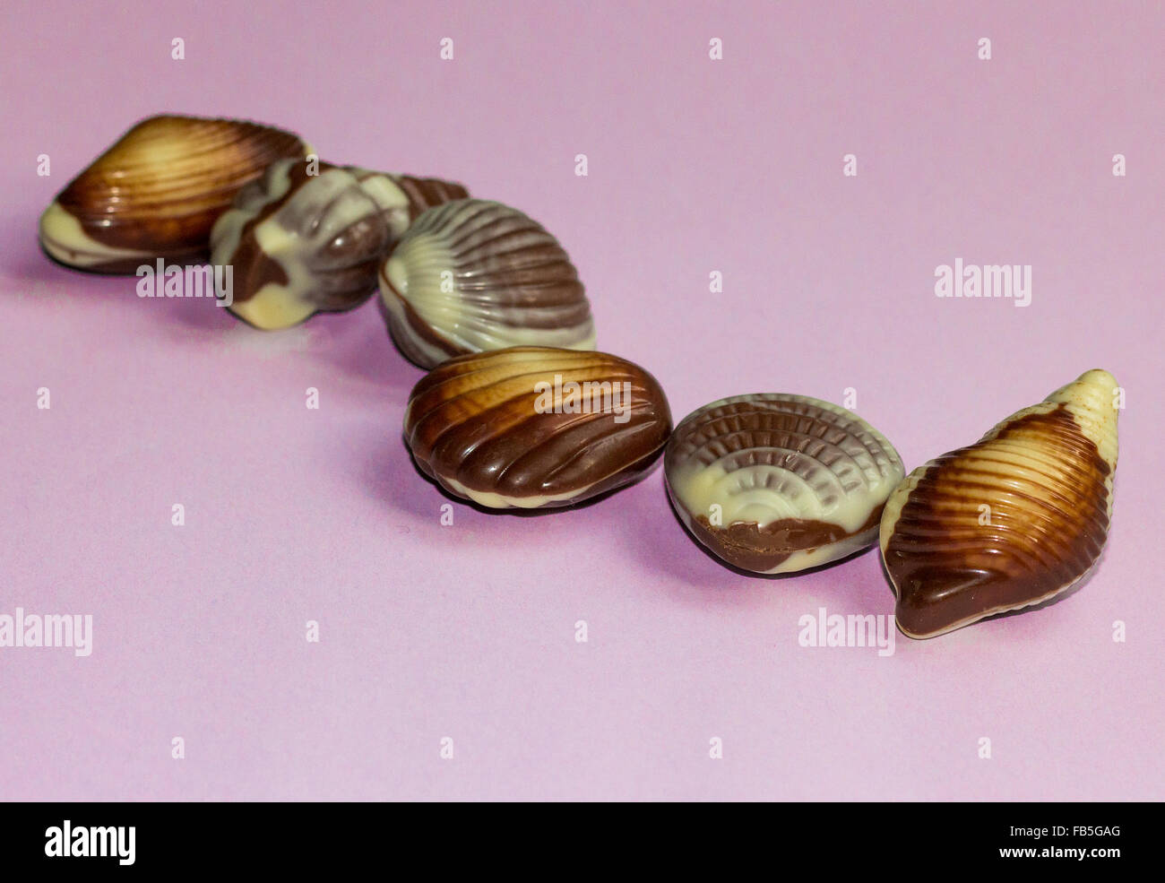 Chocolate shells on a plain background Stock Photo - Alamy