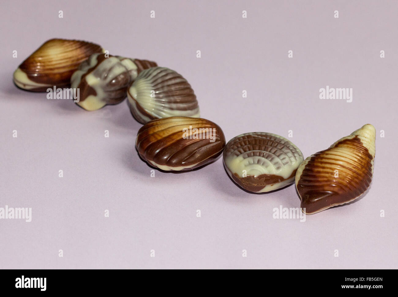 Chocolate shells on a plain background Stock Photo - Alamy