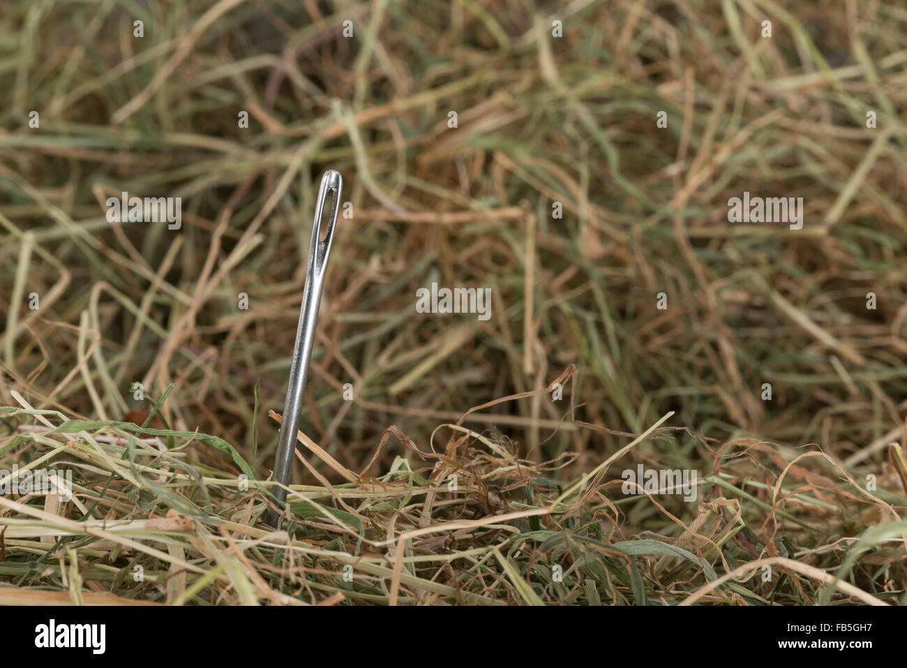 cotton and thread inserted through needle eye steel sewing reel of thin ...