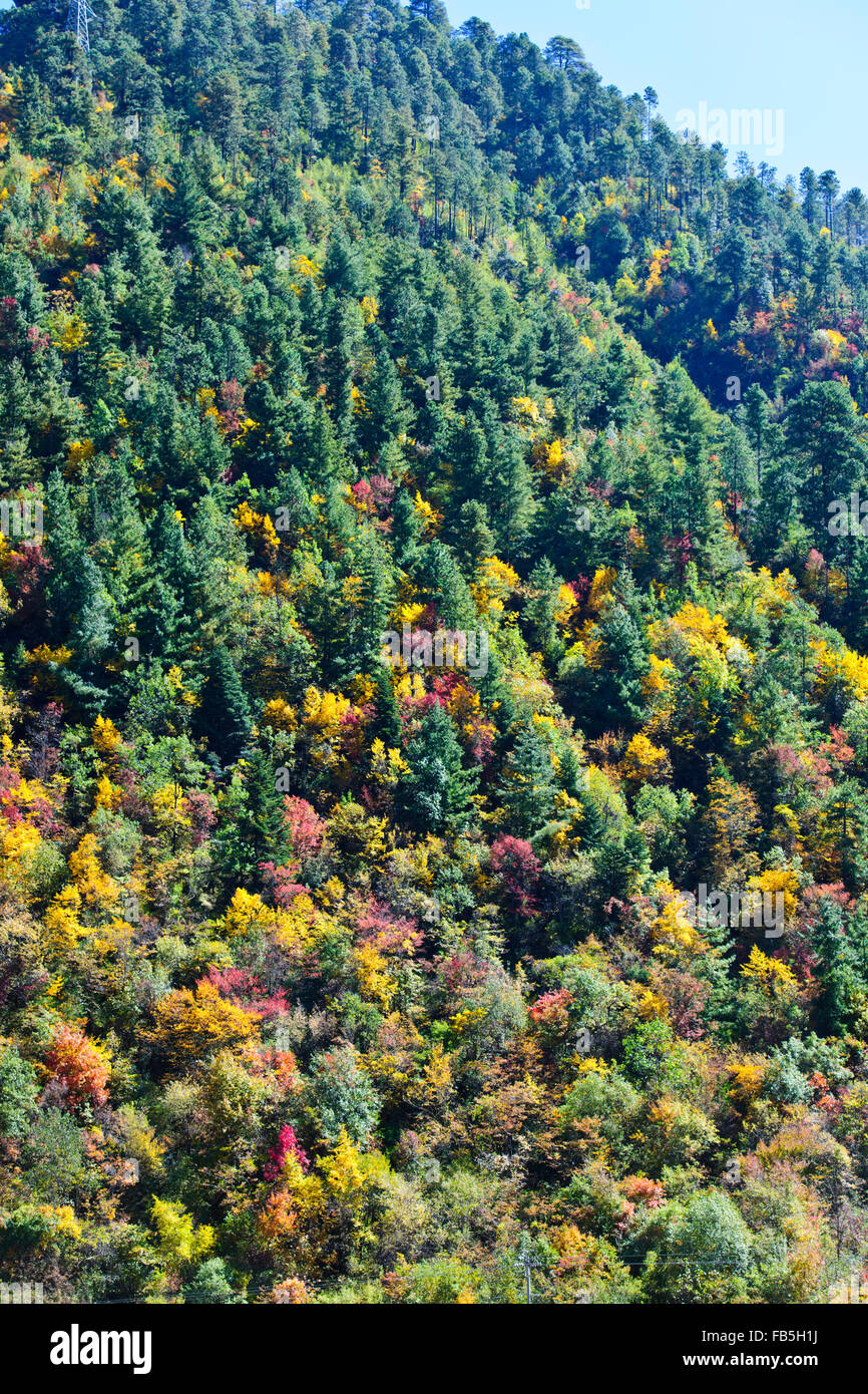 Foothills of Kawagebo Mountain Ranges,Naxi & Lisu Villages,Tacheng ...