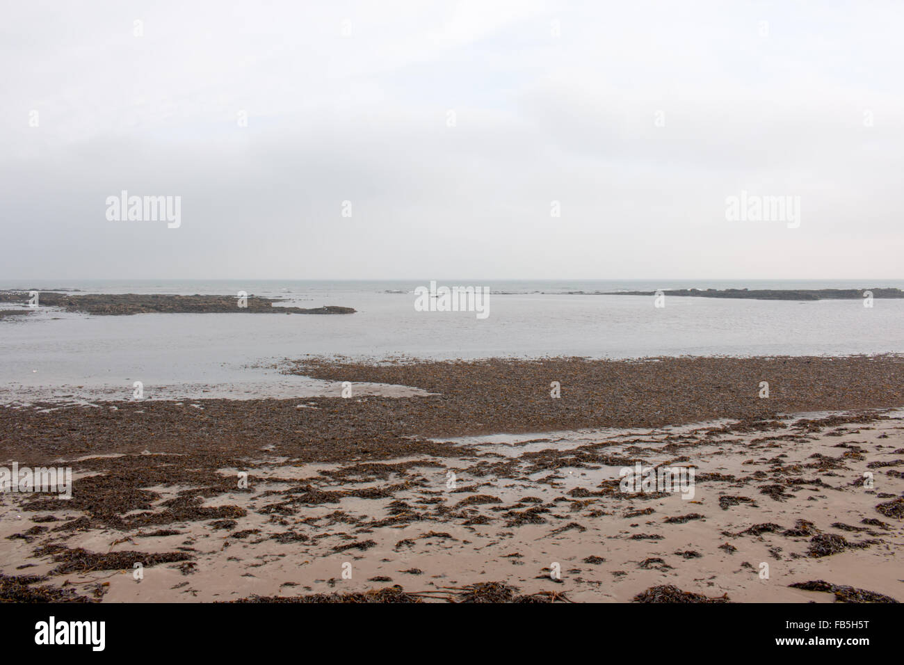 Beautiful and iconic North Bay Beach in coastal town of Scarborogh ...