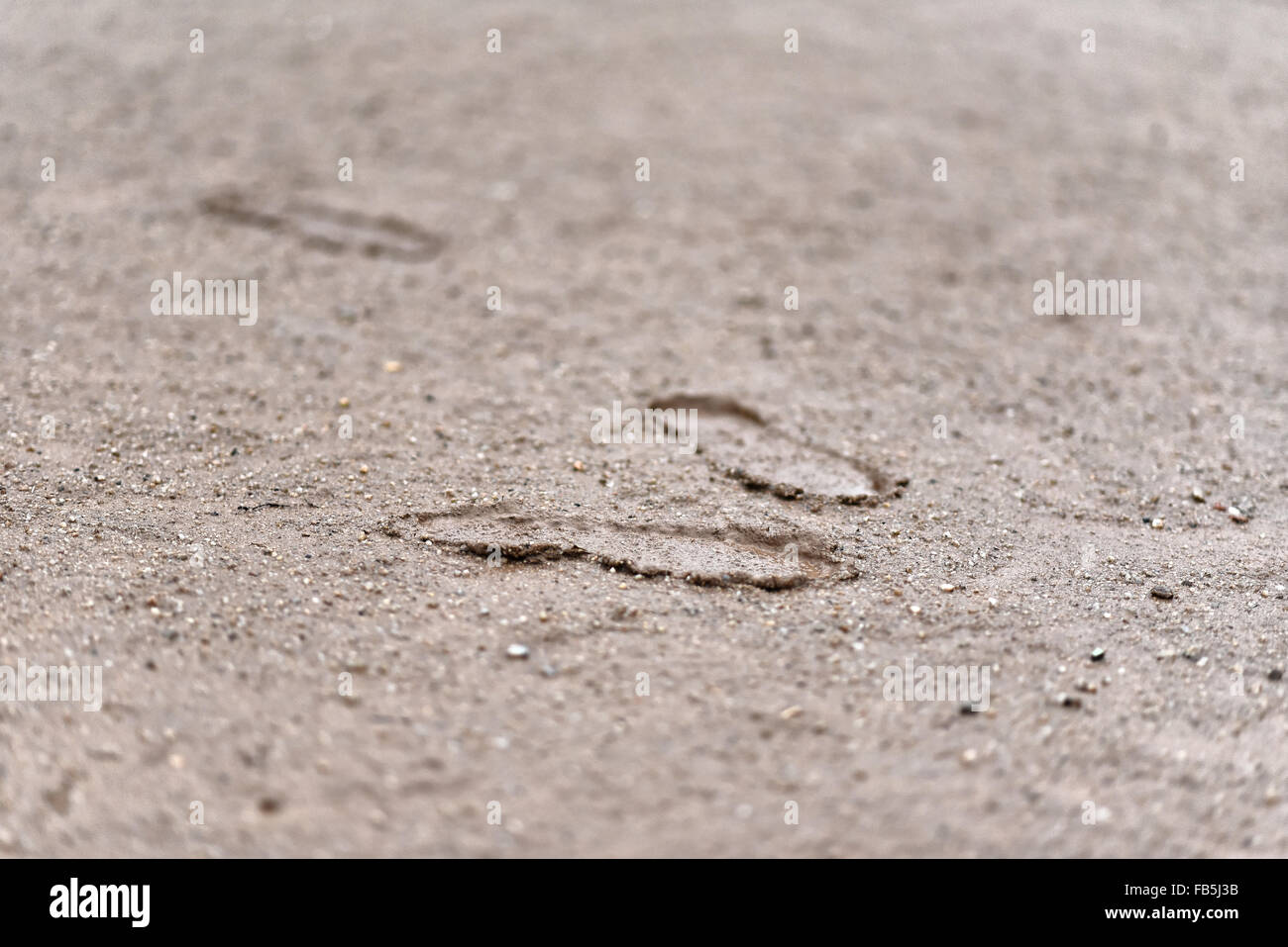 three footprints in mud Stock Photo - Alamy