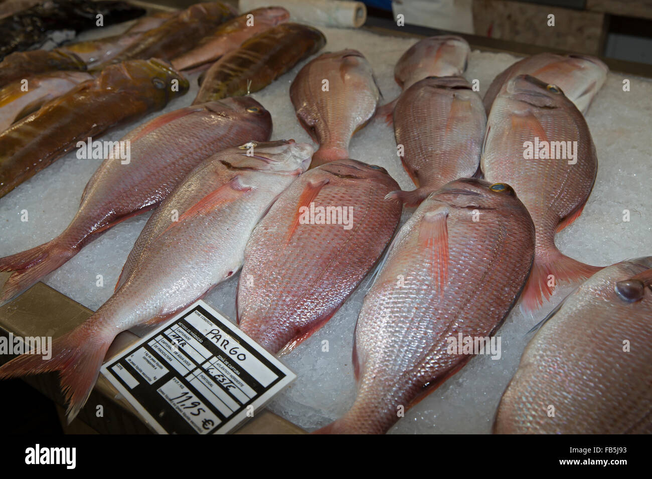 Pargo fish hi-res stock photography and images - Alamy