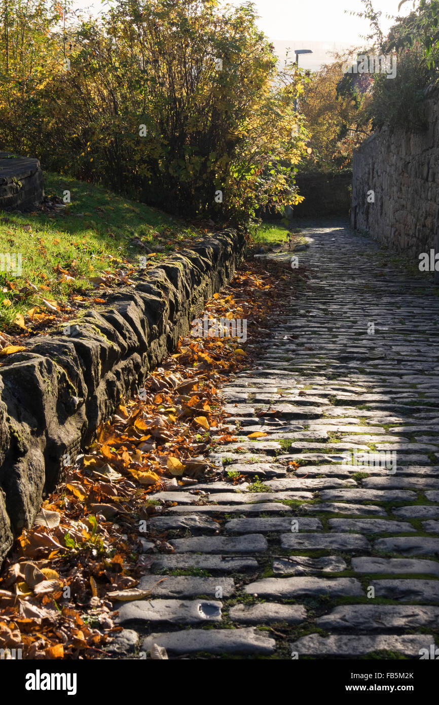 Cobbles on cobbled lane hi-res stock photography and images - Alamy