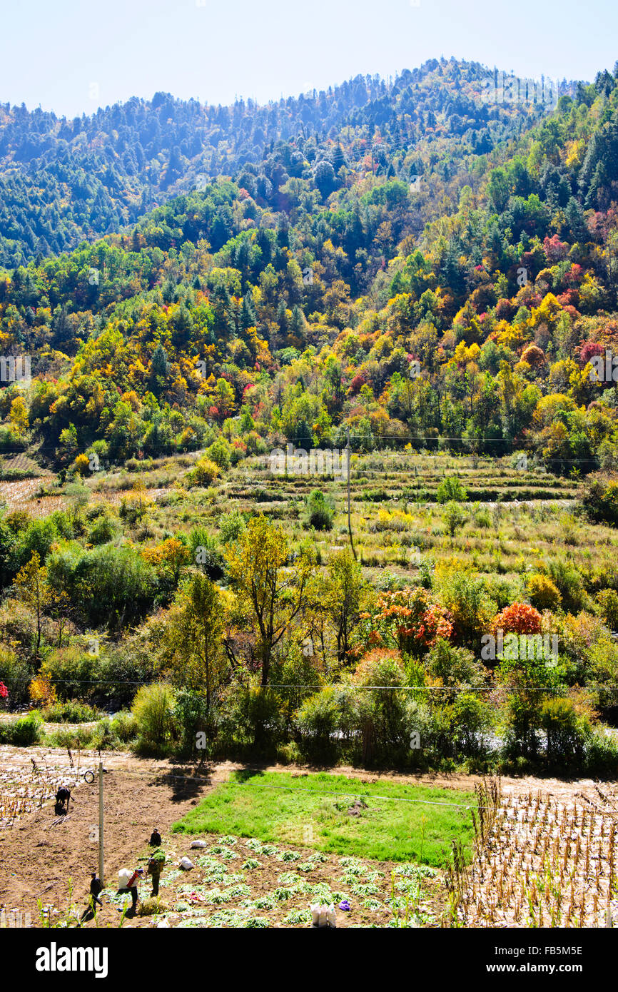 Foothills of Kawagebo Mountain Ranges,Naxi & Lisu Villages,Tacheng ...