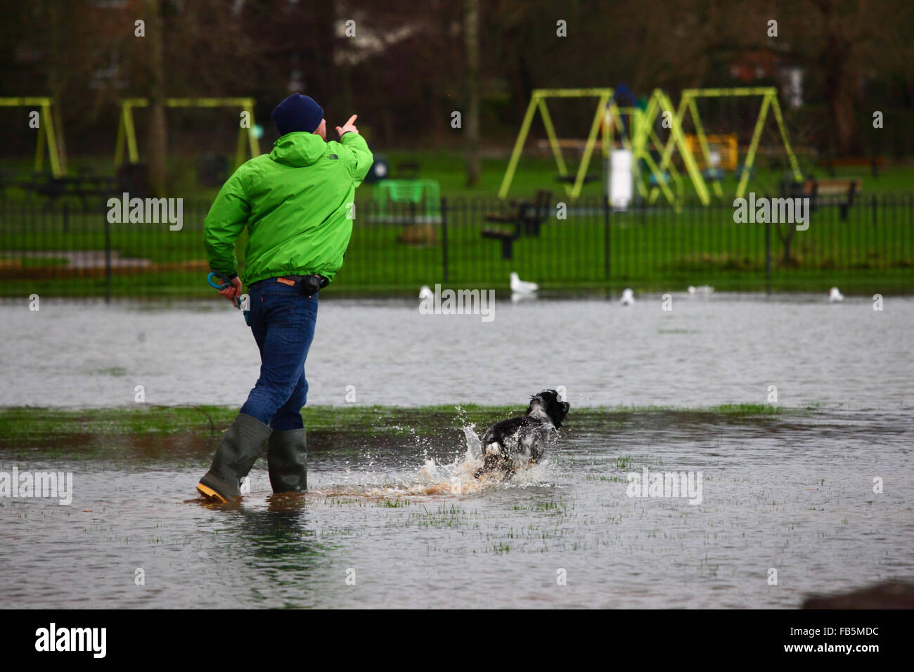 Dog chase man hi-res stock photography and images - Alamy