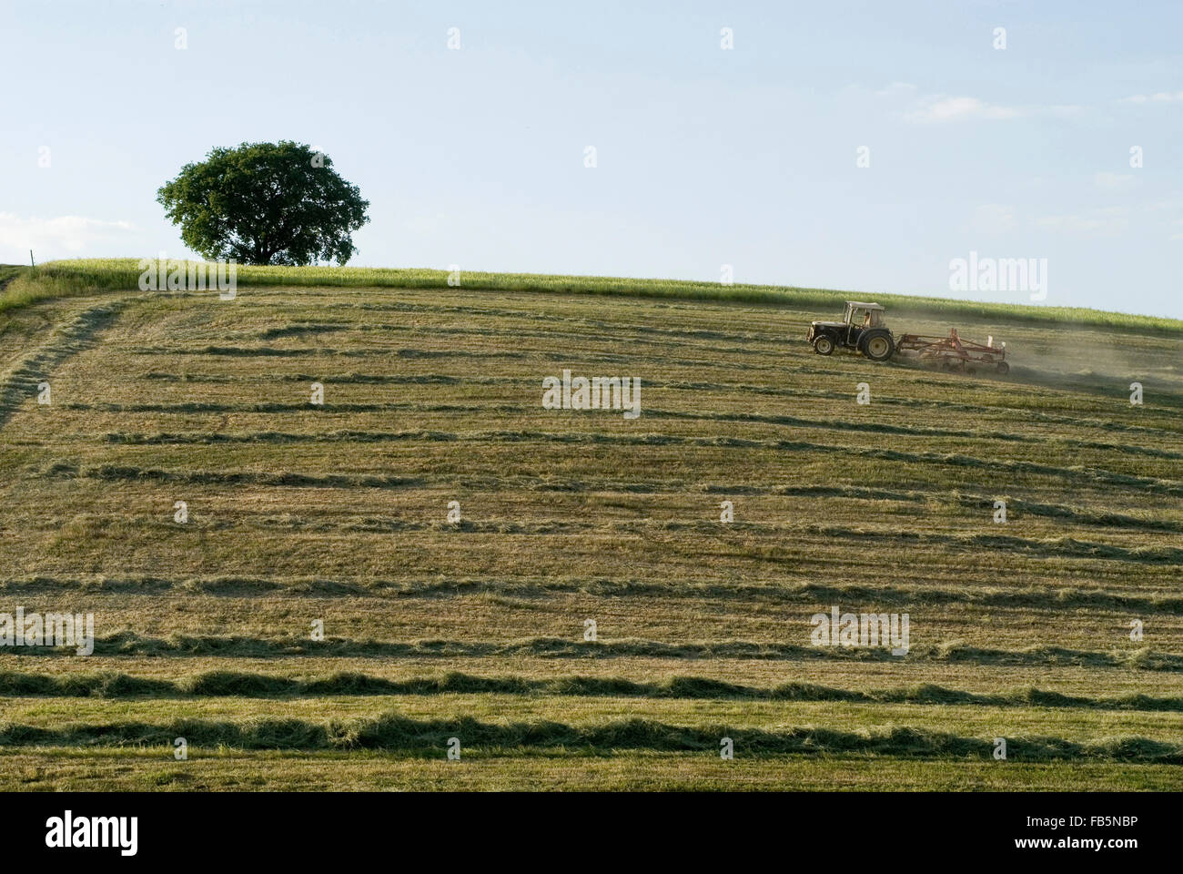 Farm tractor open trailer hi-res stock photography and images - Alamy