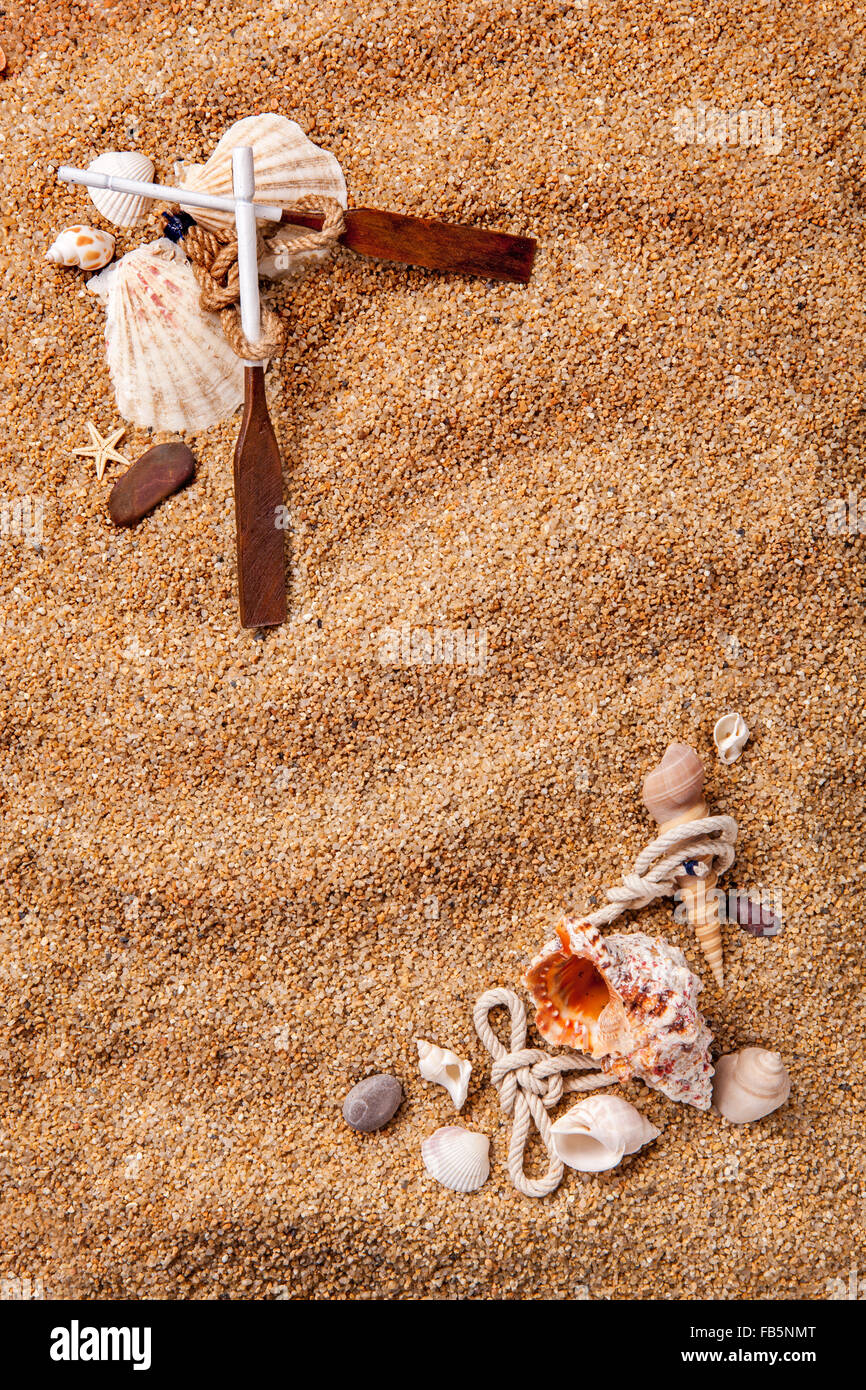 background of various shells on sand. Top view Stock Photo - Alamy