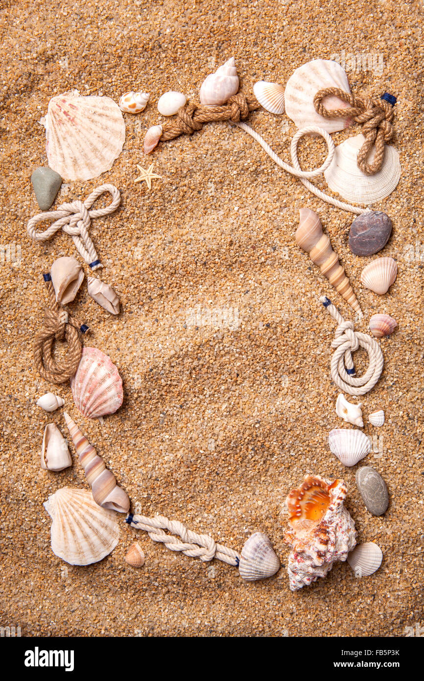 background of various shells on sand. Top view Stock Photo - Alamy