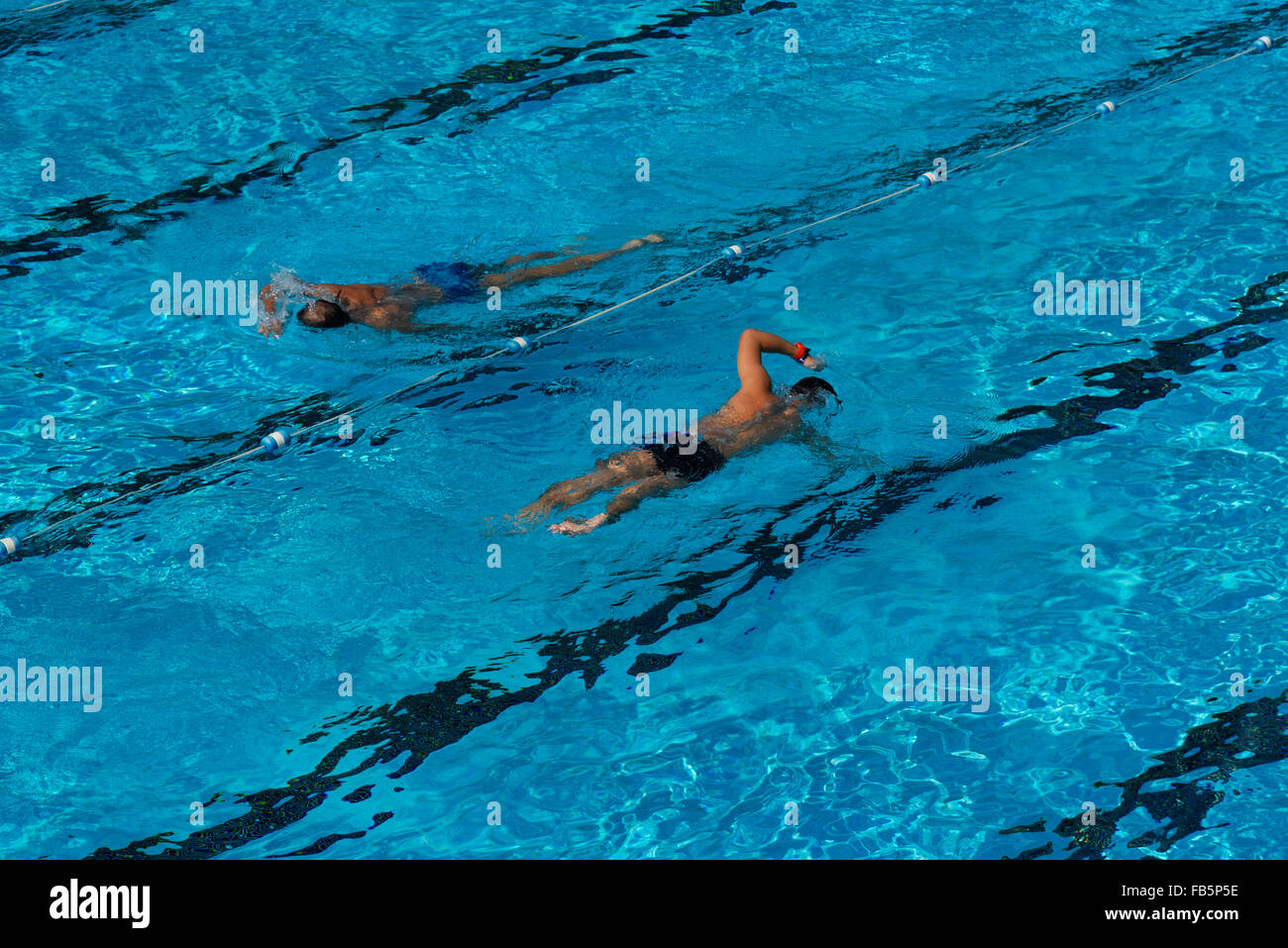Two men swimming in the opposing sides Stock Photo - Alamy