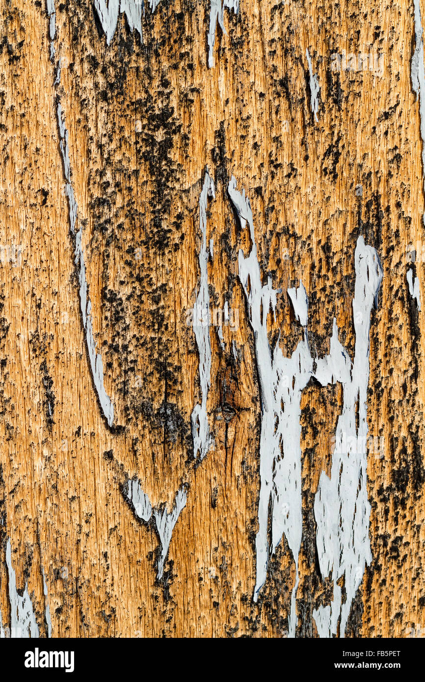 Old pain hi-res stock photography and images - Alamy