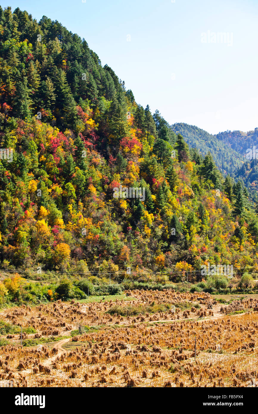 Foothills of Kawagebo Mountain Ranges,Naxi & Lisu Villages,Tacheng ...