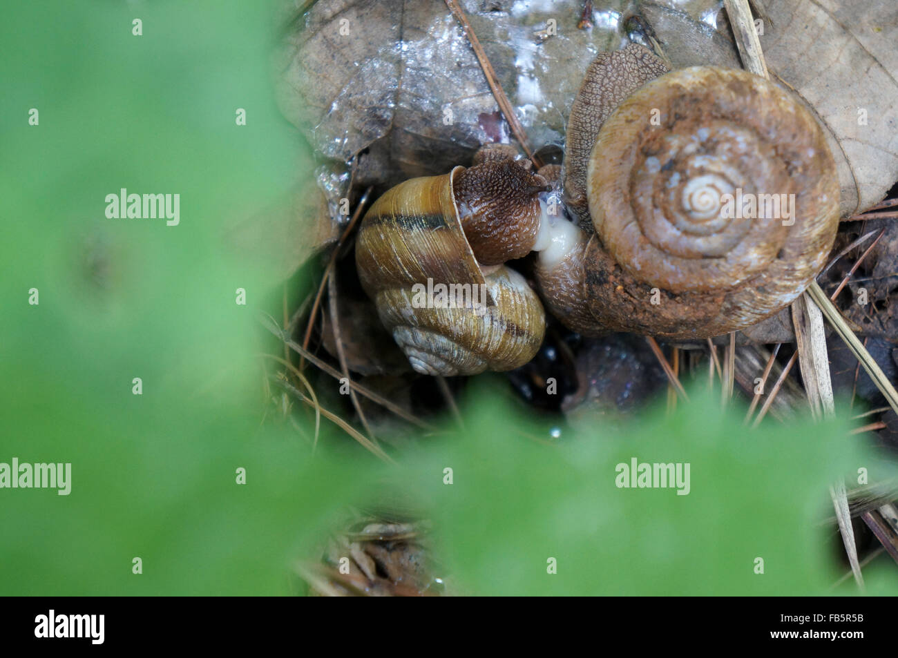 Nanyang City Henan Province China Stock Photo - Alamy