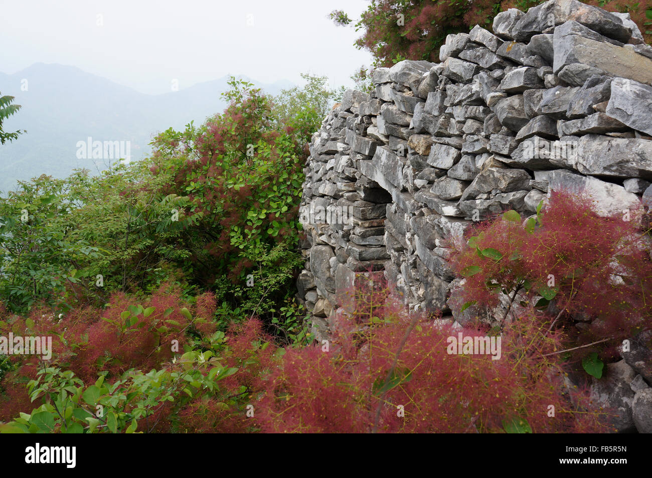 Nanyang City Henan Province China Stock Photo - Alamy