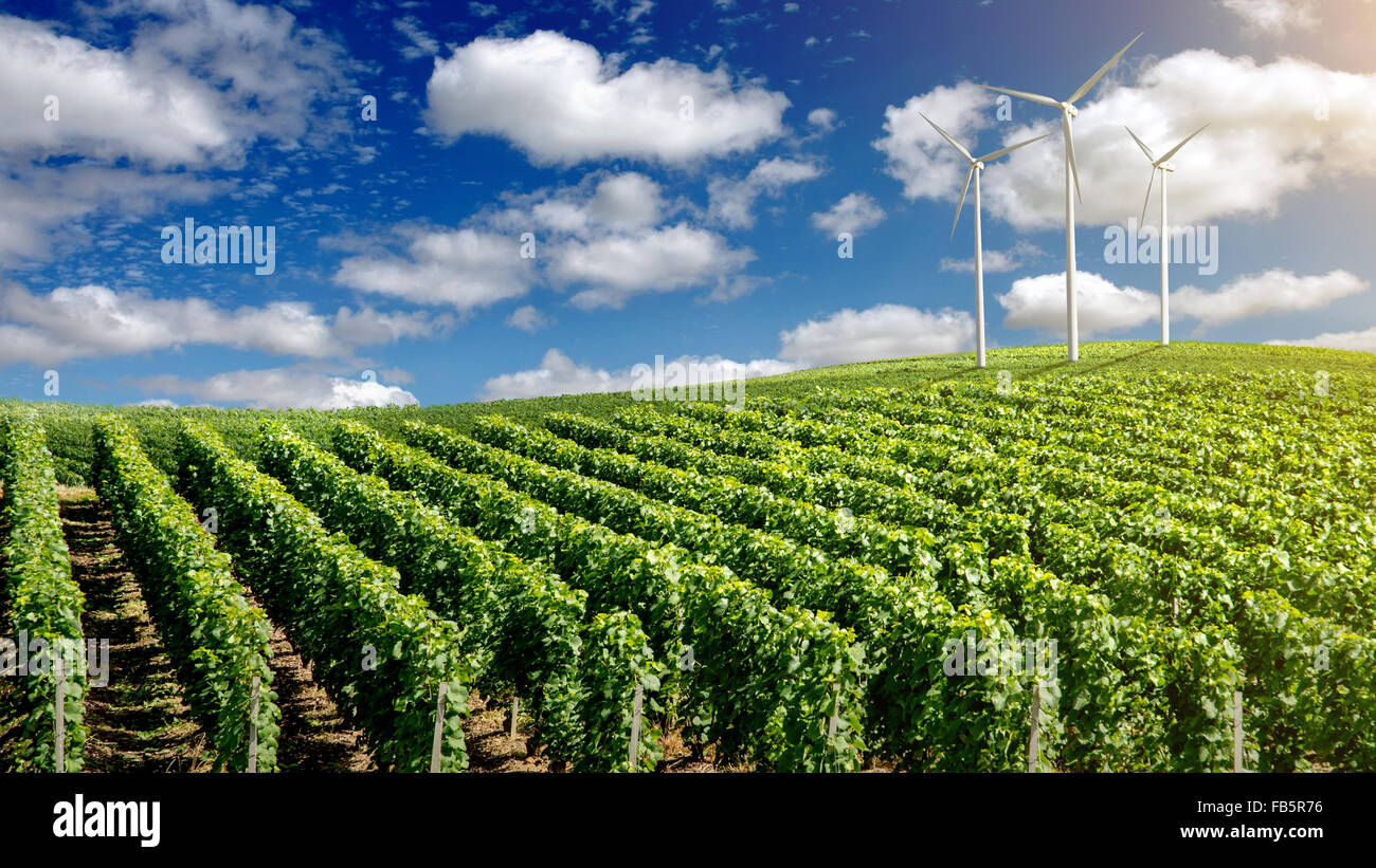 Wind generators turbines on summer landscape under blue sky Stock Photo ...