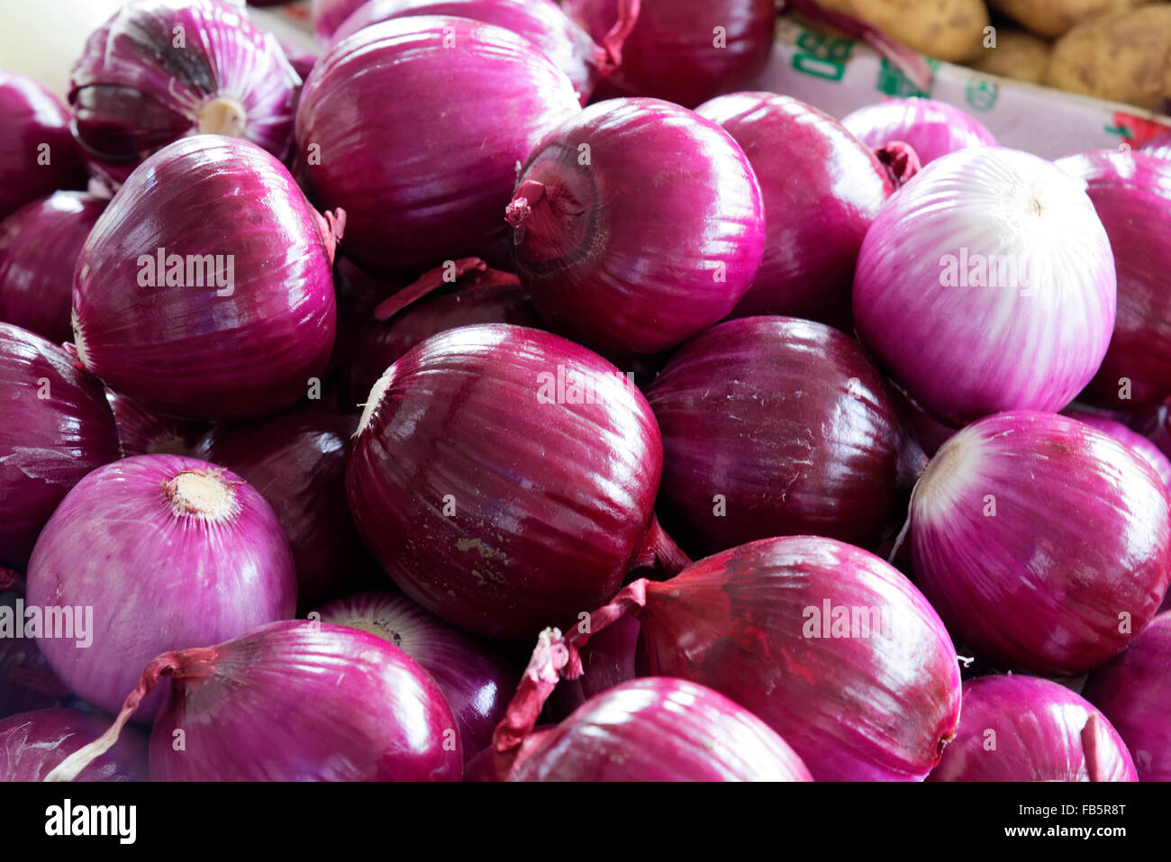 Red onions (purple onions) on a market shelf Stock Photo - Alamy