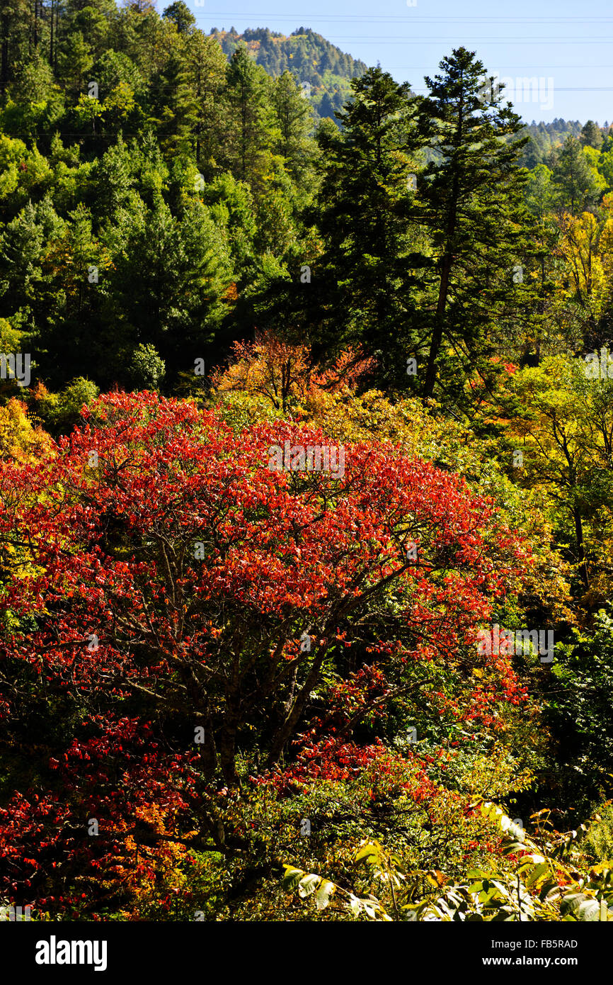 Kawagebo mountain ranges hi-res stock photography and images - Alamy