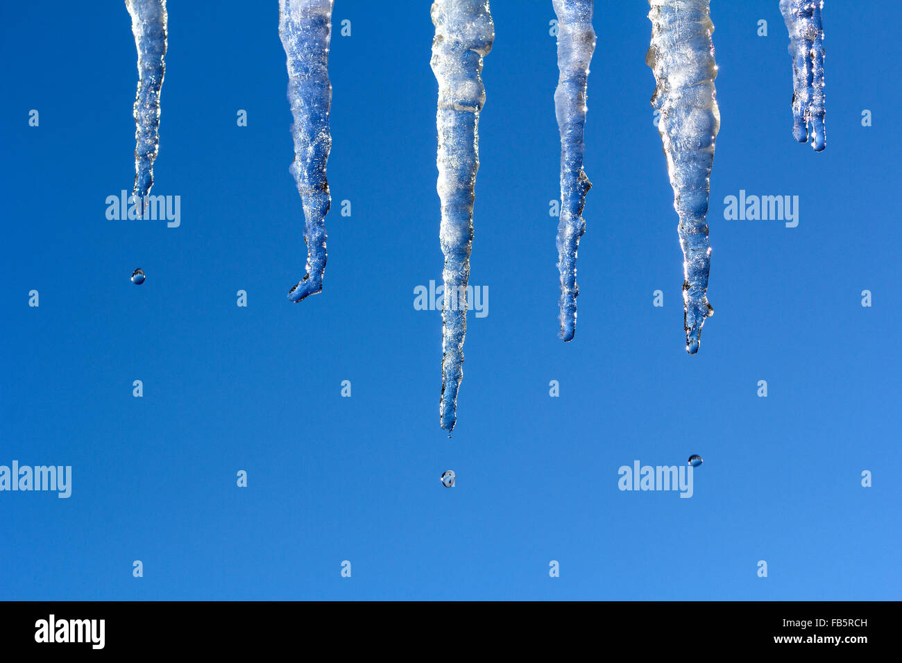 Icicles Melting and drops, blue sky as background Stock Photo - Alamy