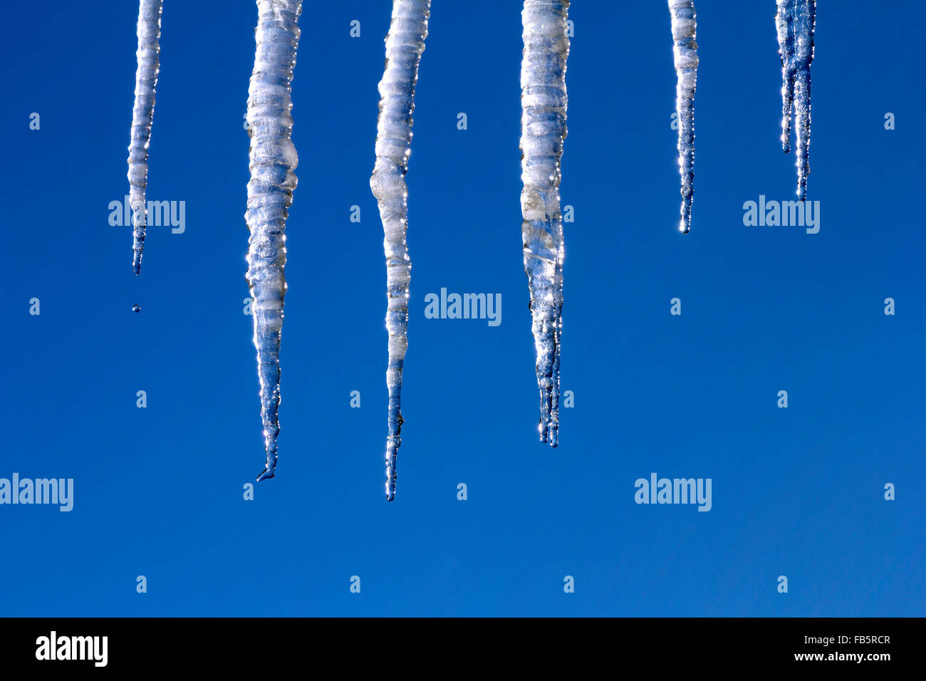 Melting icicles sun hi-res stock photography and images - Alamy