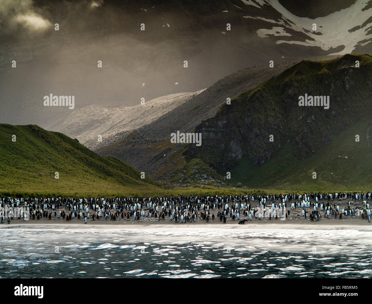 South georgia beach hi-res stock photography and images - Alamy