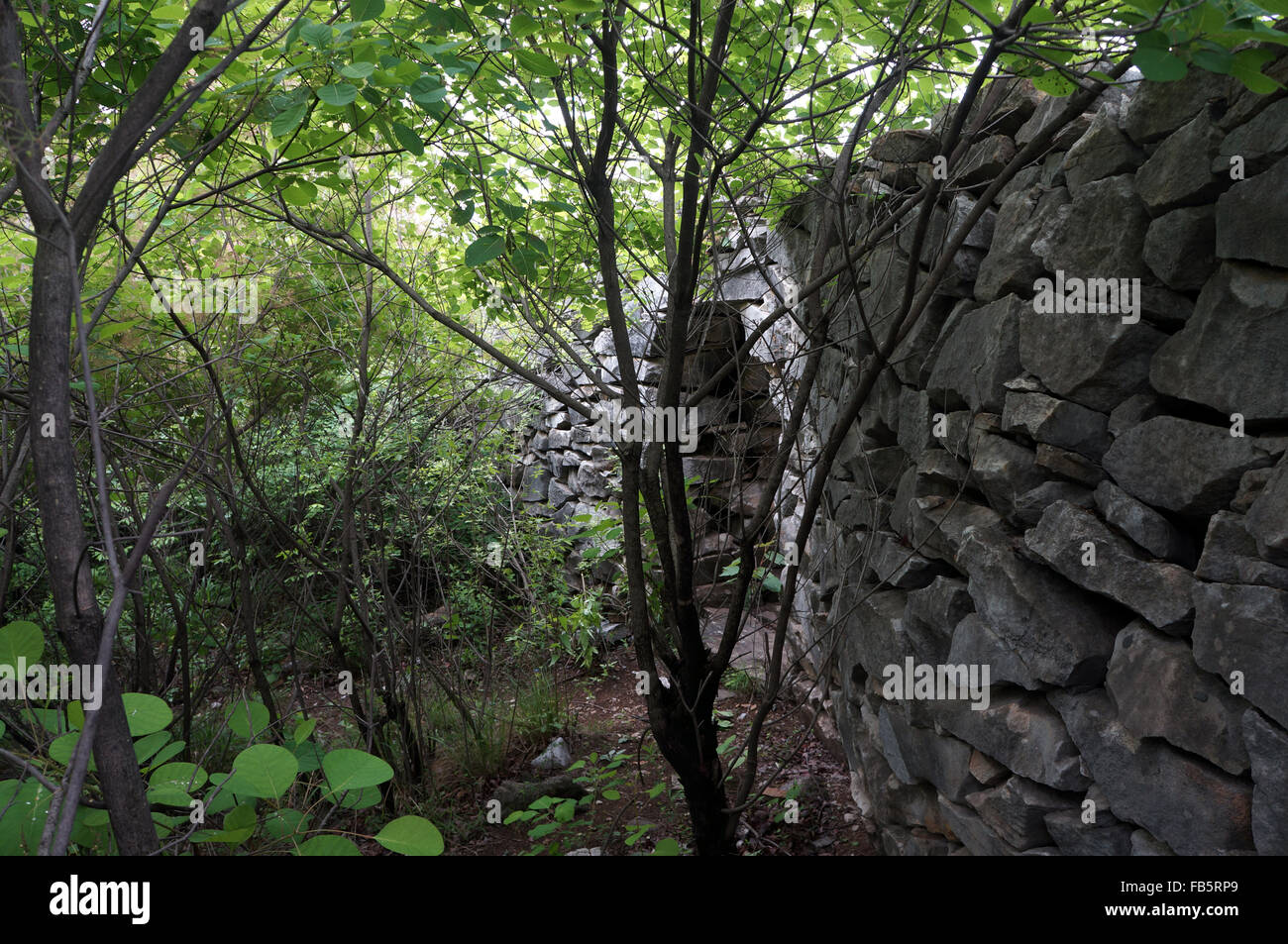 Nanyang City Henan Province China Stock Photo - Alamy