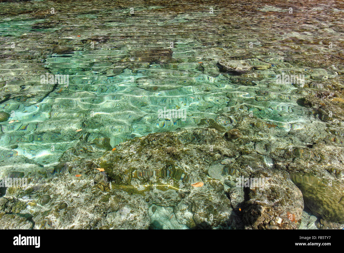 Clear transparent water with rocks Stock Photo - Alamy