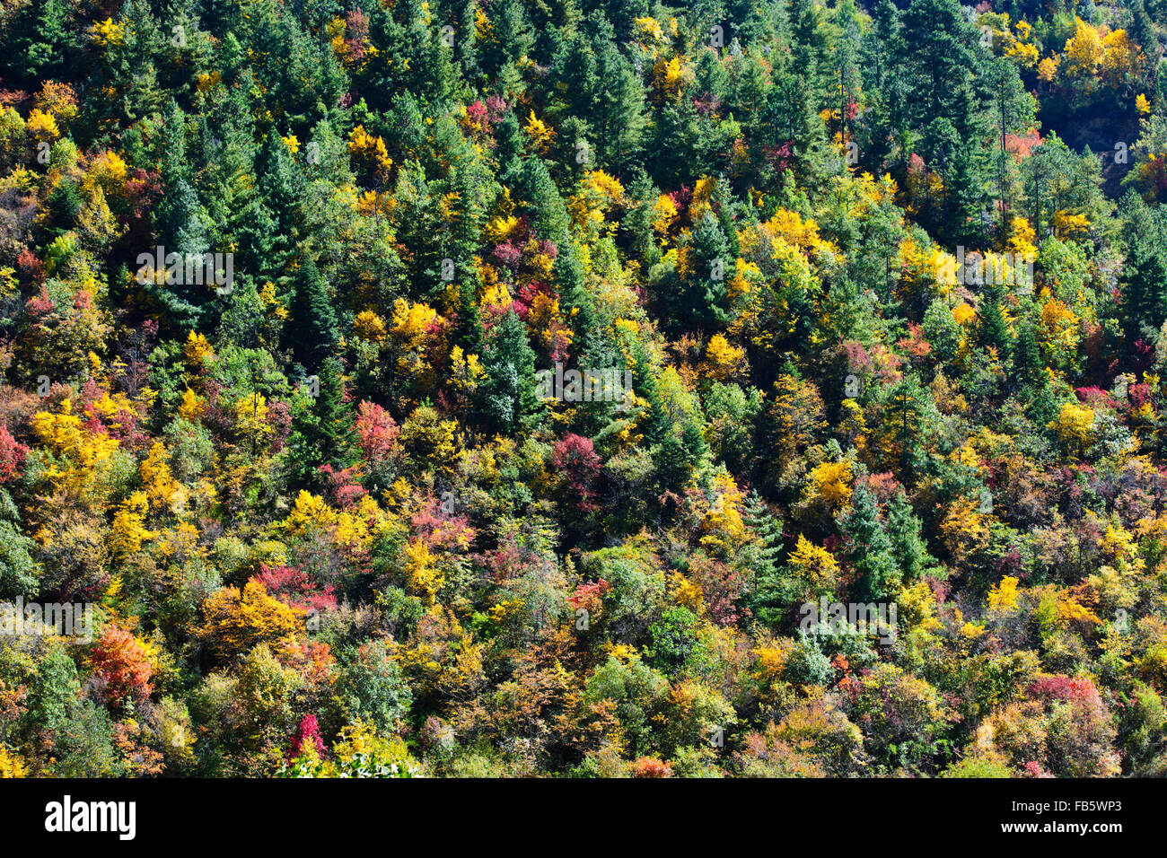 Foothills of Kawagebo Mountain Ranges,Naxi & Lisu Villages,Tacheng ...