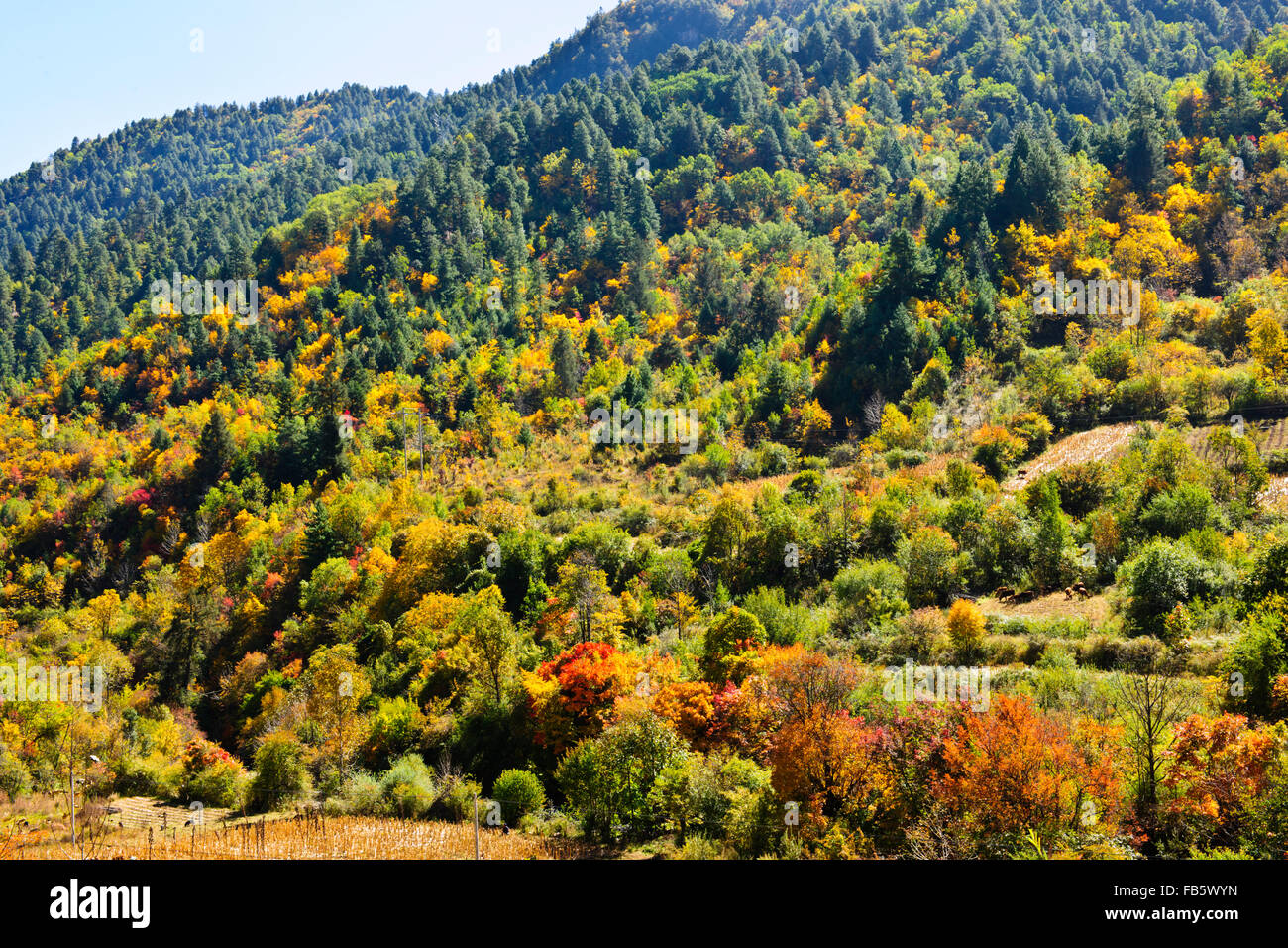 Foothills of Kawagebo Mountain Ranges,Naxi & Lisu Villages,Tacheng ...