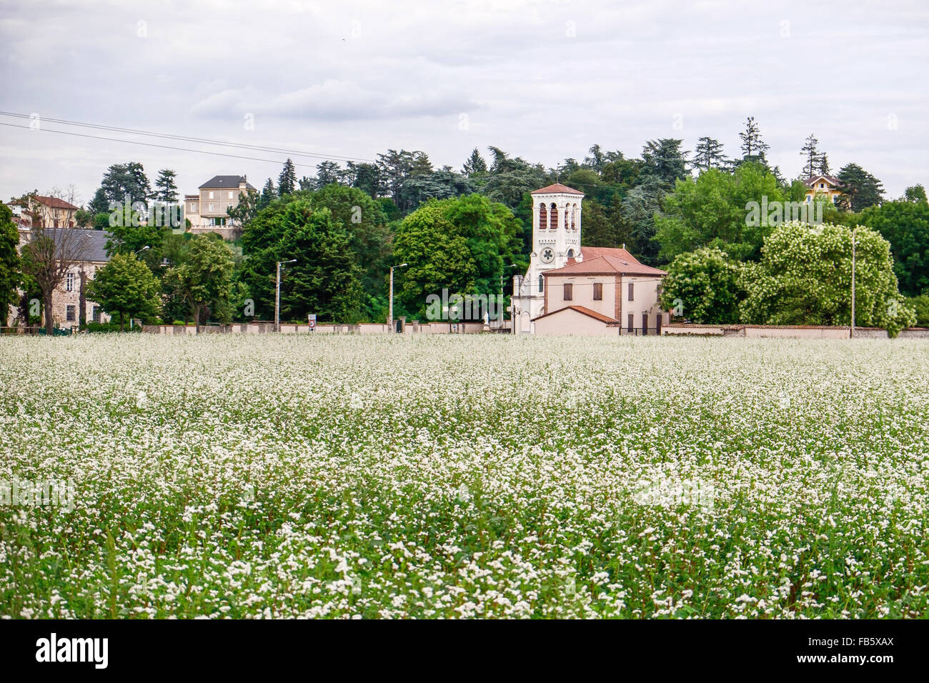 Abdon And Sennen High Resolution Stock Photography and Images - Alamy